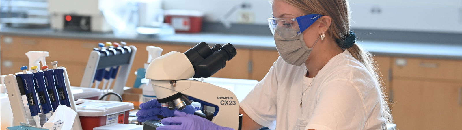 UNF: College of Arts and Sciences