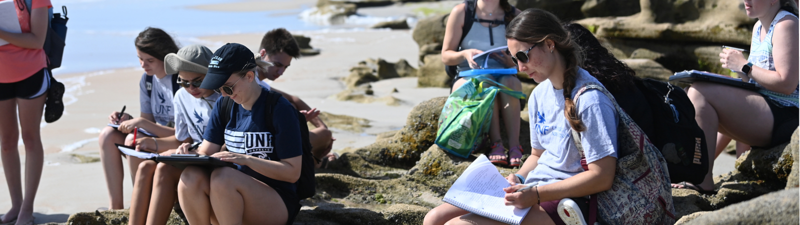 UNF: College of Arts and Sciences