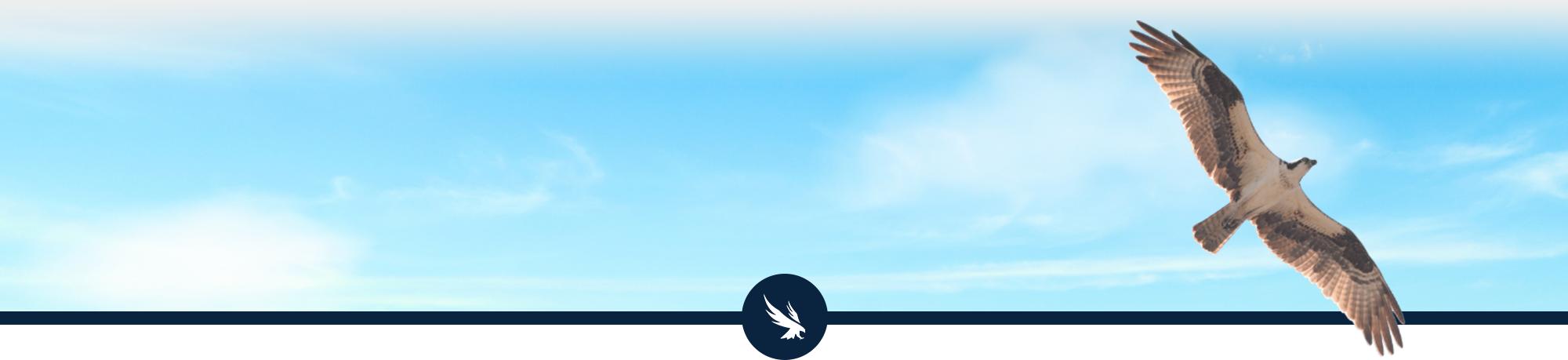 UNF: Online Osprey Orientation