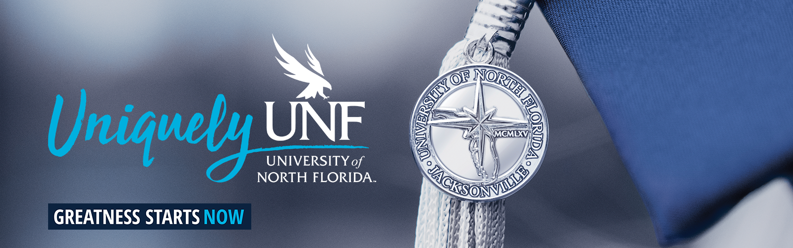 UNF: Strategic Plan 2020-25