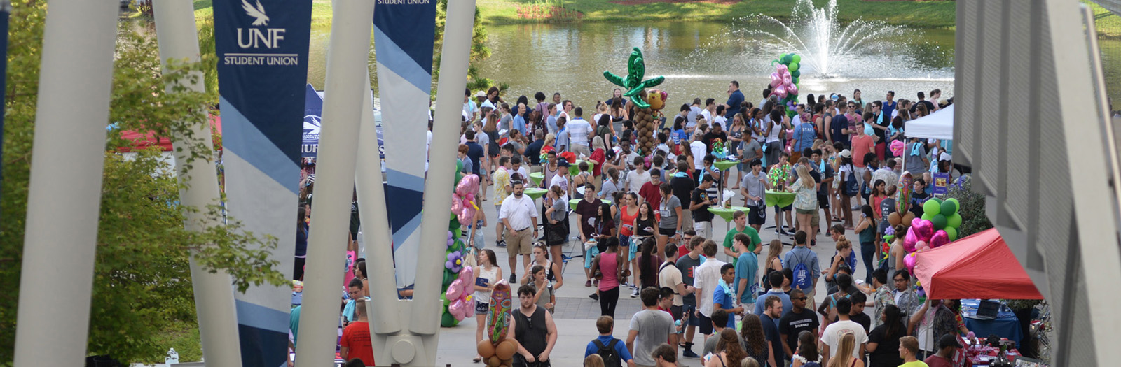 University Of Florida Party Life